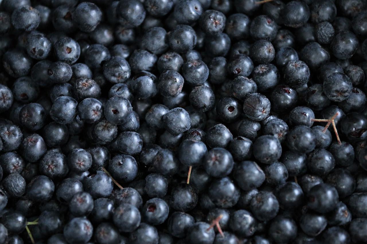 Kann Man Aroniabeeren Roh Essen